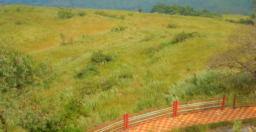 Panchgani - Best Time to Visit | Places To See - Sterling Resorts