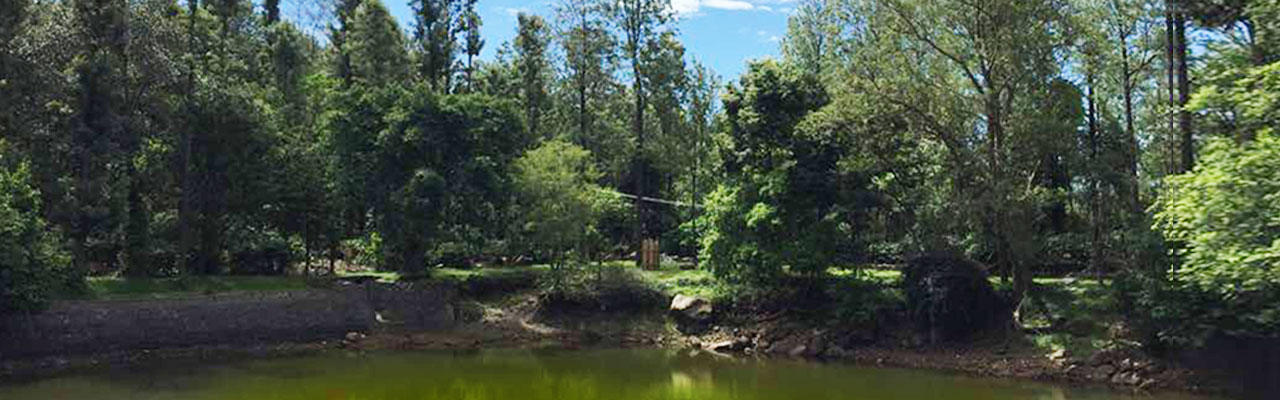 Yercaud- Places to See-How to Reach Yercaud - Sterling