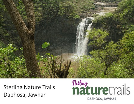 Best Luxury Resorts and Hotels | Weekend Getaways in India - Sterling ...