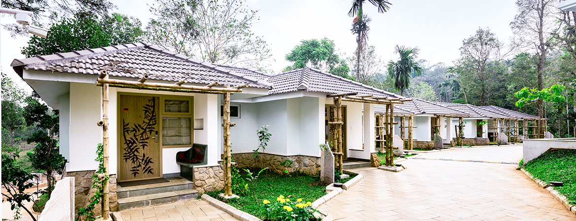 Book Best Resorts/Hotels in Wayanad Kerala Online - Sterling